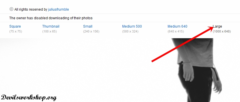 How to save a protected image from Flickr